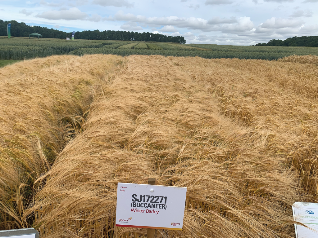 New varieties deliver bigger crop yields - Midland Farmer Magazine