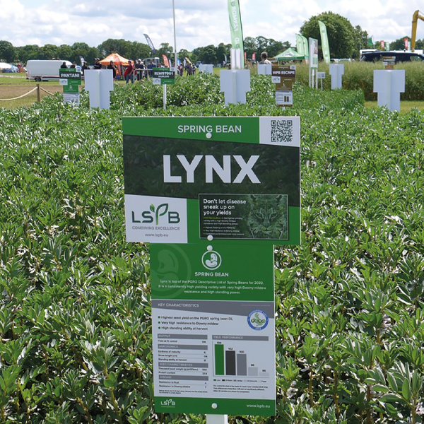 Latest PGRO list confirms performance of LSPB varieties - Midland ...