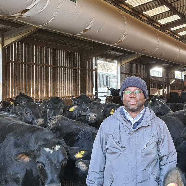 Good ventilation lifts growth rates for Gloucestershire beef producer ...