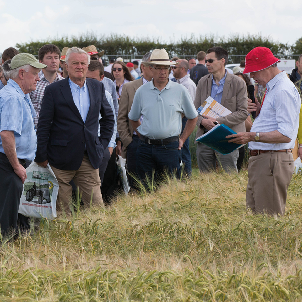 Plots highlight alternative revenue sources - Midland Farmer Magazine