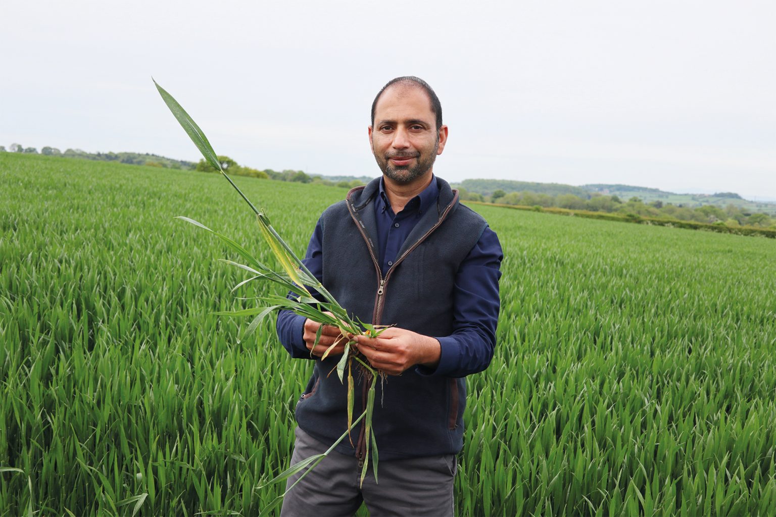Variable soil quality hampers efficient crop production - Midland ...