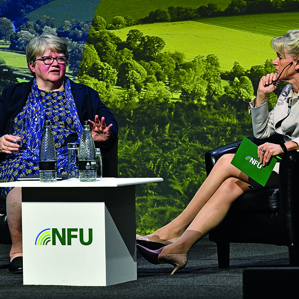 Defra faces criticism for SFI rollout - Midland Farmer Magazine