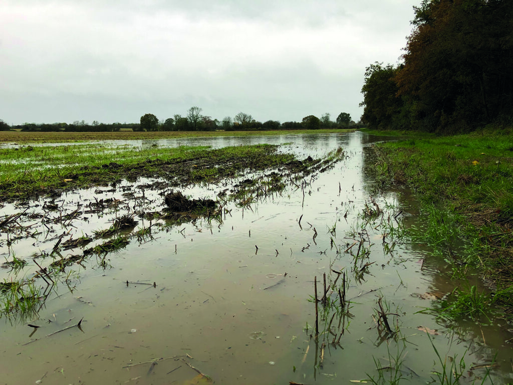 Wet autumn paves way for surge in spring crops - Midland Farmer Magazine