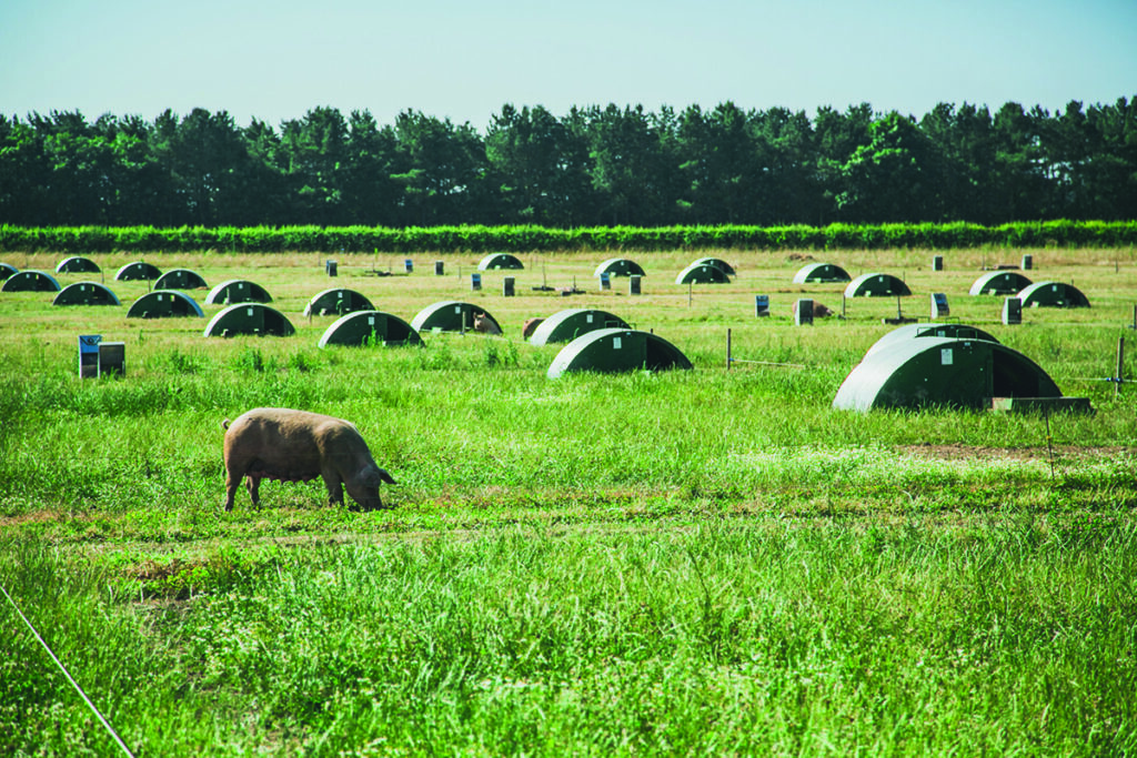‘Farms of the future’ set to reach net zero - Midland Farmer Magazine