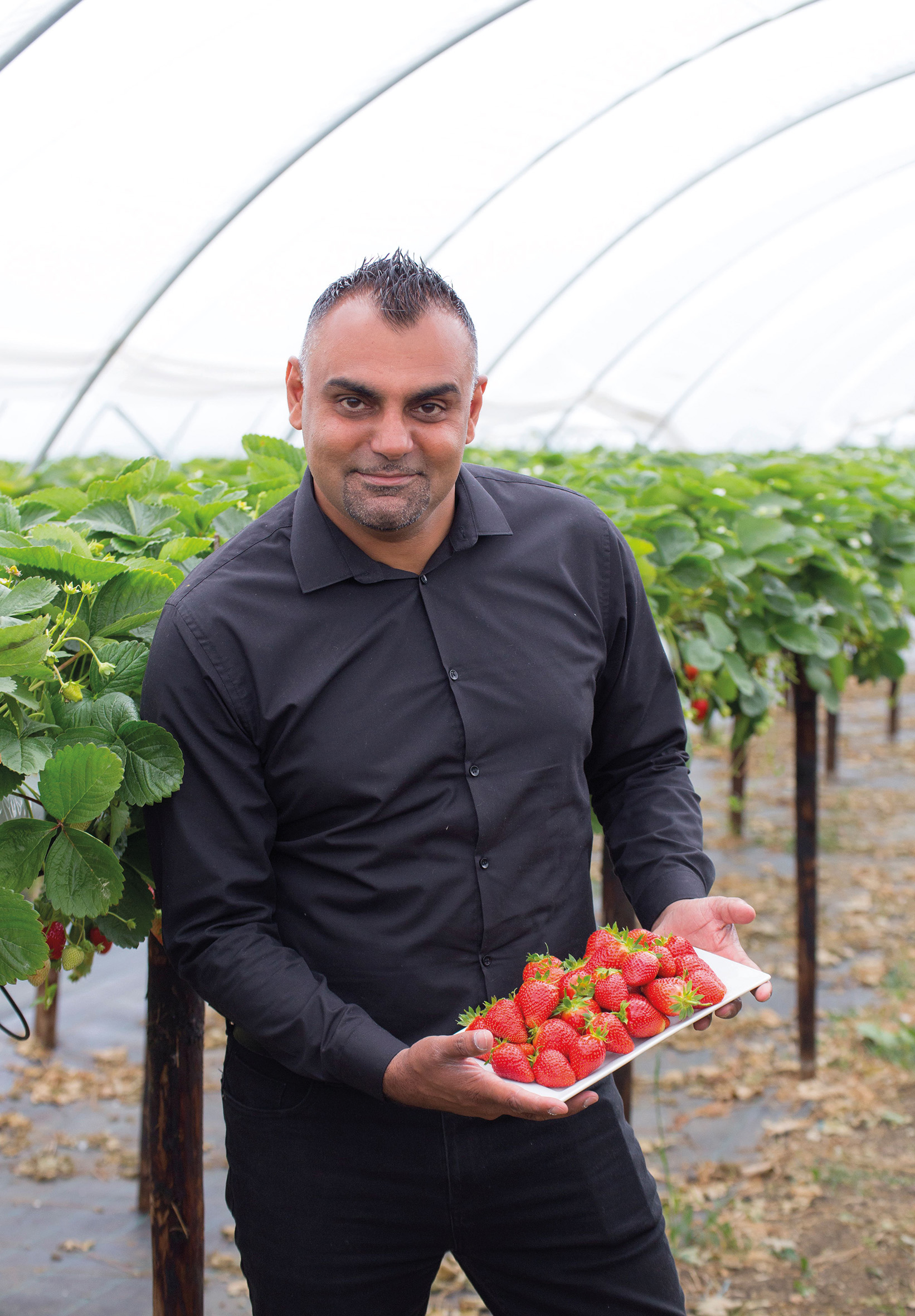 ‘Punjabi Farm’ in Worcestershire takes to the big screen - Midland ...