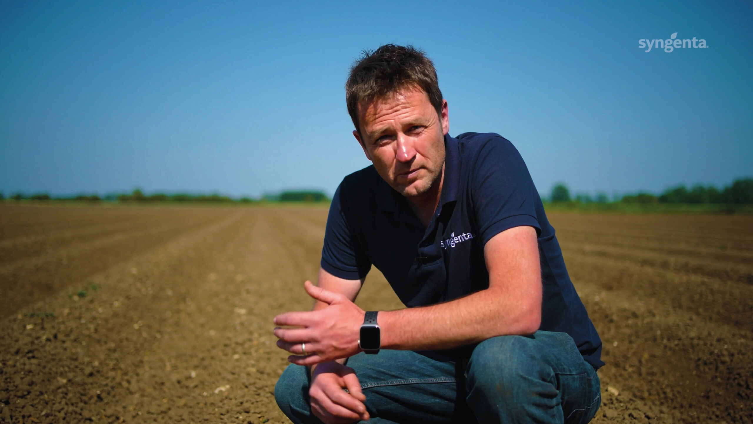 How to reduce wireworm tuber damage risk - Midland Farmer Magazine