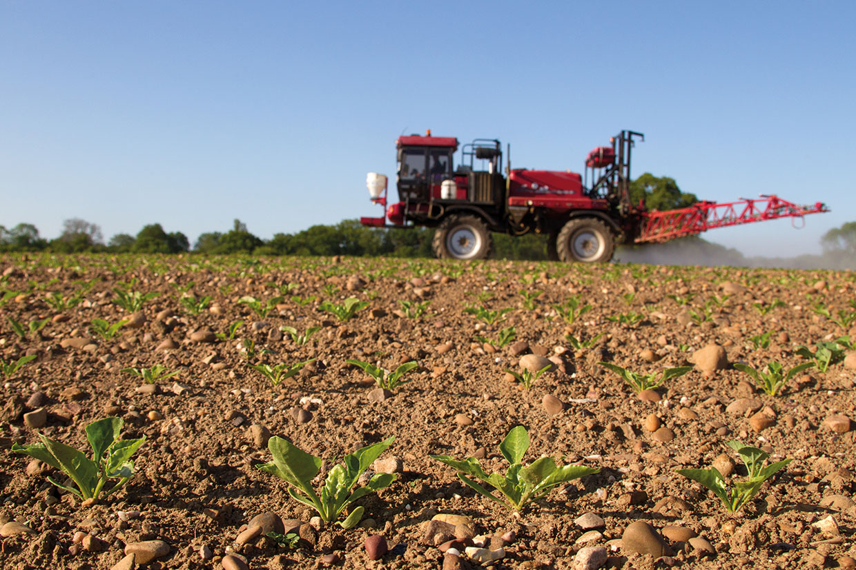How to control weeds when conditions are dry and hot - Midland Farmer ...