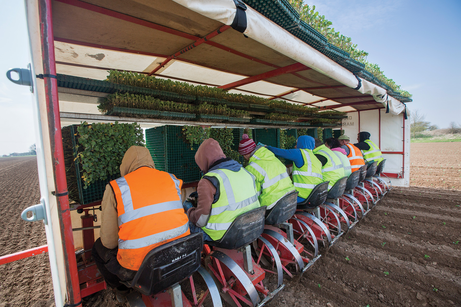 Defra review raises ‘serious concerns’ for horticulture - Midland ...